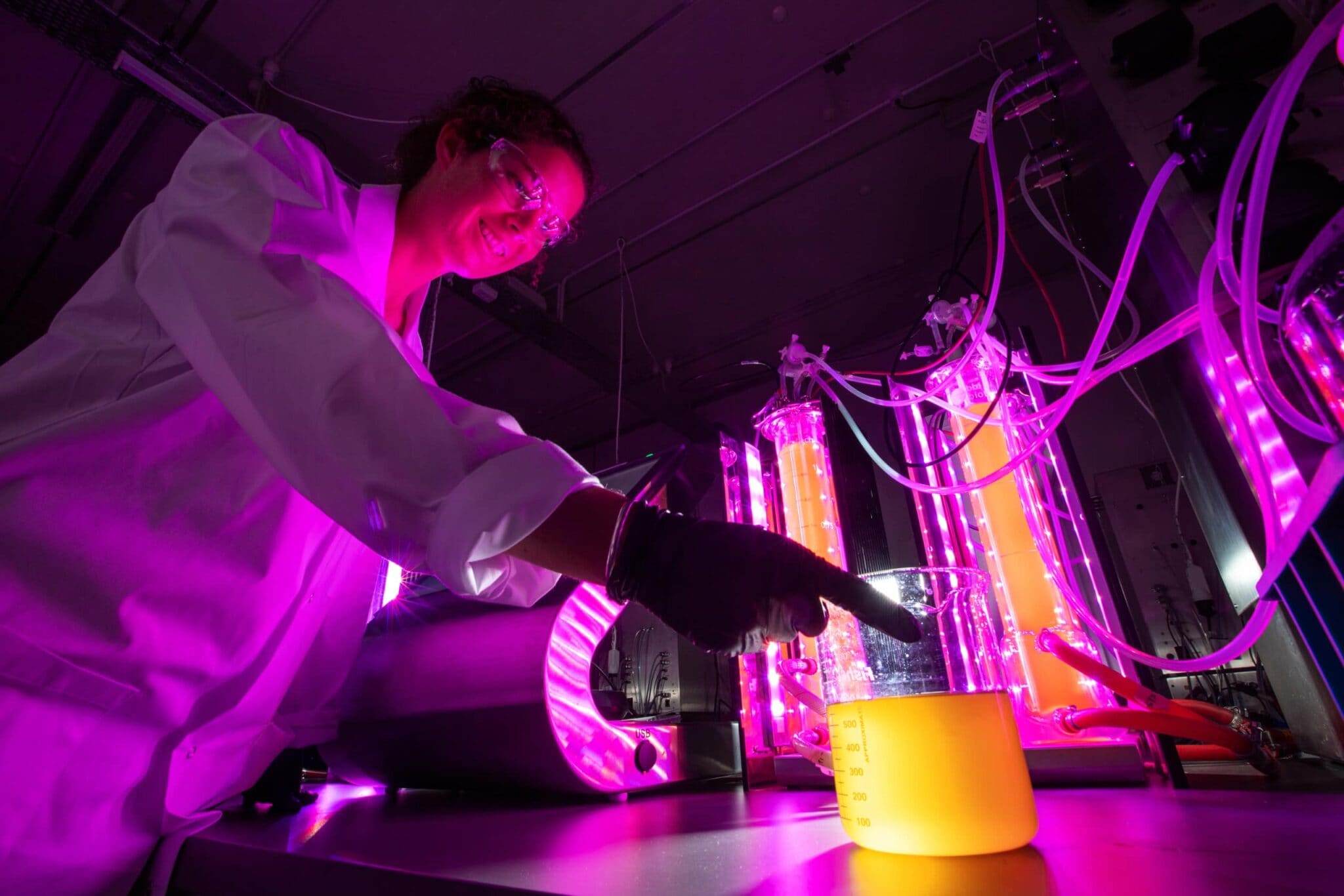 Harmful Algal blooms and Shellfish, a case study