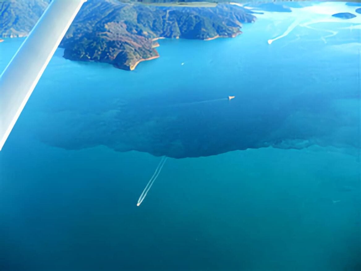 Harmful Algal blooms and Shellfish, a case study