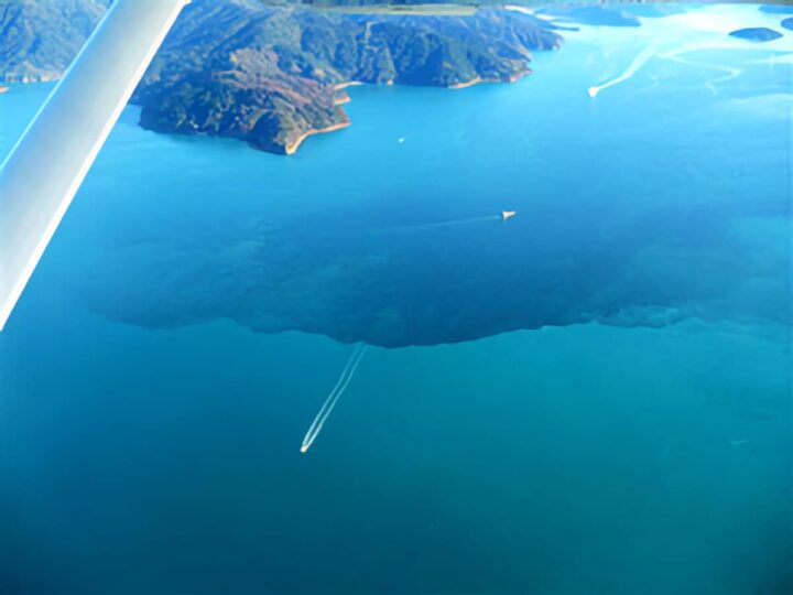 Harmful Algal blooms and Shellfish, a case study