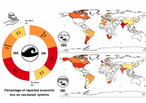 Aquaculture Supply Chain Resilience Strategies