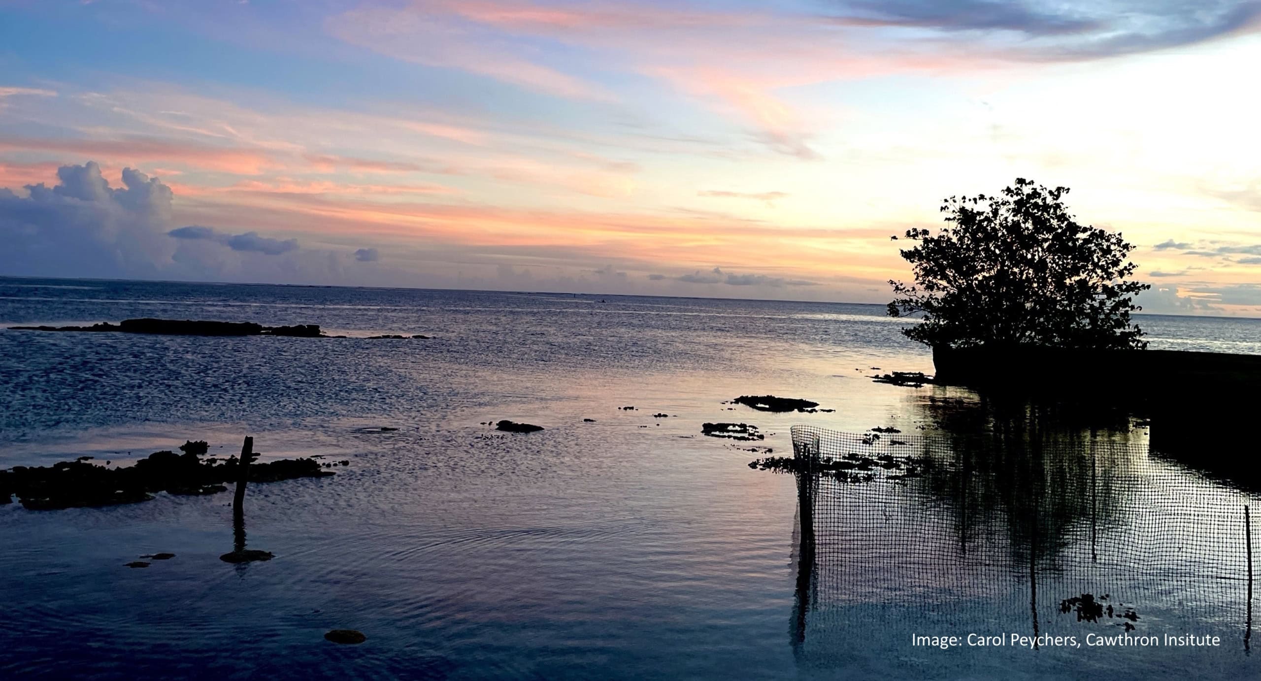 ShARP researchers helping address food security in the Pacific - ShARP